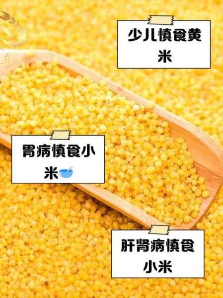每天吃小黄米的危害_小黄米吃多了会怎么样-第1张图片-山城妙识