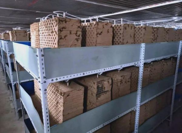 养2000只蝎子成本_养蝎子一年能赚多少钱-第3张图片-山城妙识 养2000只蝎子成本_养蝎子一年能赚多少钱-第3张图片-山城妙识