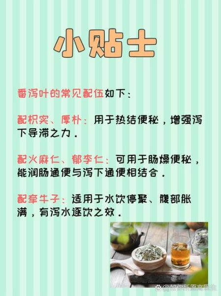 番泻叶泡水禁忌_哪些人不能喝-第3张图片-山城妙识