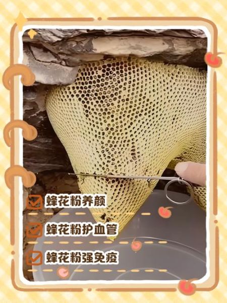 女人吃蜂花粉的副作用有哪些_如何避免-第1张图片-山城妙识