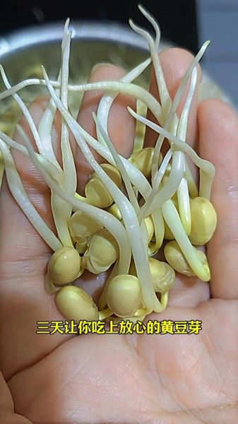 塑料桶生黄豆芽的方法_塑料桶生黄豆芽多久能吃-第2张图片-山城妙识