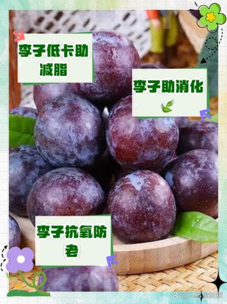李子热量高吗_李子能减肥吗-第1张图片-山城妙识 李子热量高吗_李子能减肥吗-第1张图片-山城妙识
