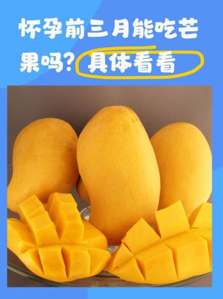 孕妇可以吃芒果吗初期_怀孕前三个月吃芒果安全吗-第1张图片-山城妙识