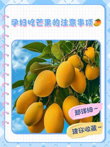 孕妇可以吃芒果吗初期_怀孕前三个月吃芒果安全吗-第2张图片-山城妙识
