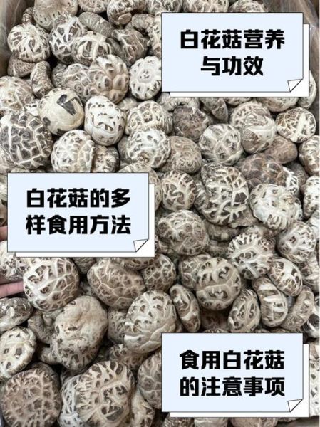 野生花菇的功效与作用_野生花菇怎么吃最营养-第3张图片-山城妙识 野生花菇的功效与作用_野生花菇怎么吃最营养-第3张图片-山城妙识