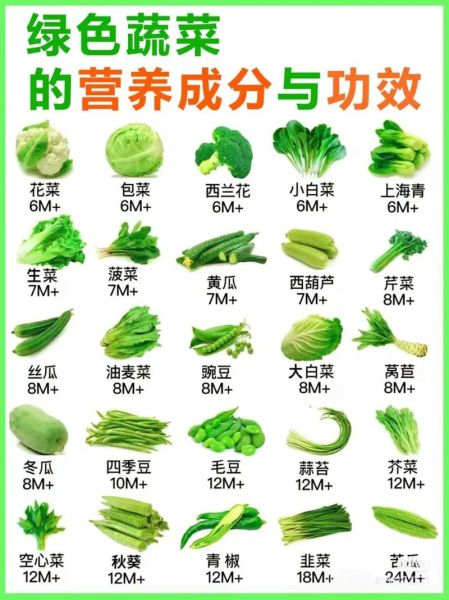 蔬菜营养成分表图怎么看_哪些蔬菜营养最高-第3张图片-山城妙识 蔬菜营养成分表图怎么看_哪些蔬菜营养最高-第3张图片-山城妙识