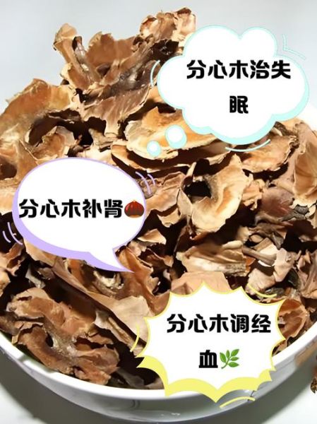 核桃分心木的功效与作用_禁忌症有哪些-第1张图片-山城妙识