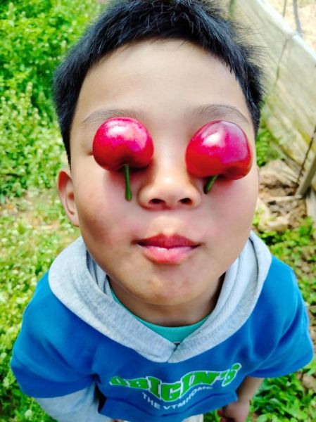 哪些人不能吃樱桃_樱桃过敏症状有哪些-第1张图片-山城妙识 哪些人不能吃樱桃_樱桃过敏症状有哪些-第1张图片-山城妙识