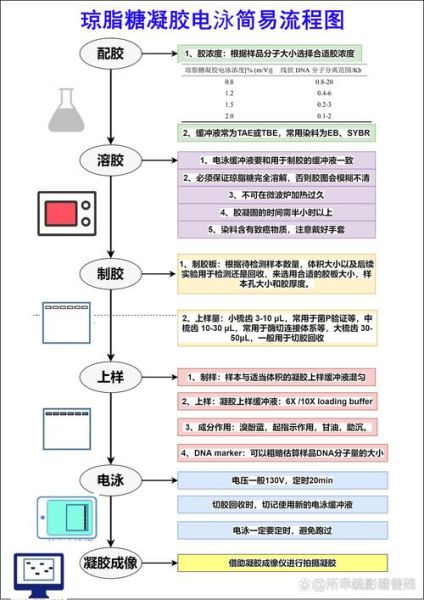 琼脂糖凝胶电泳条带模糊怎么办_如何避免拖尾现象-第3张图片-山城妙识