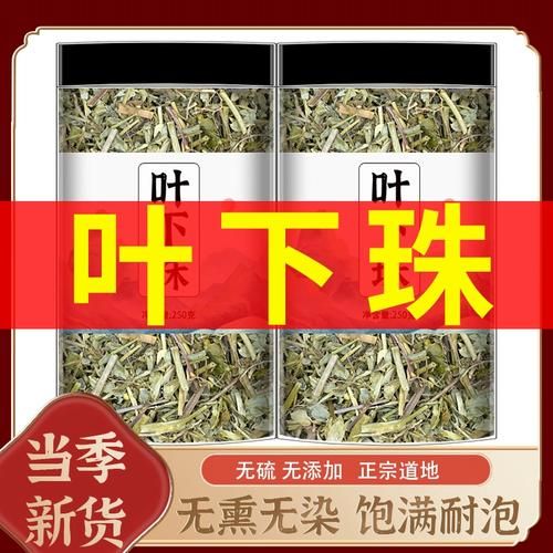 叶下珠的功效与作用_叶下珠的副作用有哪些-第3张图片-山城妙识 叶下珠的功效与作用_叶下珠的副作用有哪些-第3张图片-山城妙识