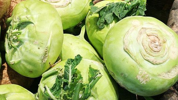 球茎甘蓝怎么做好吃_球茎甘蓝的家常做法-第3张图片-山城妙识