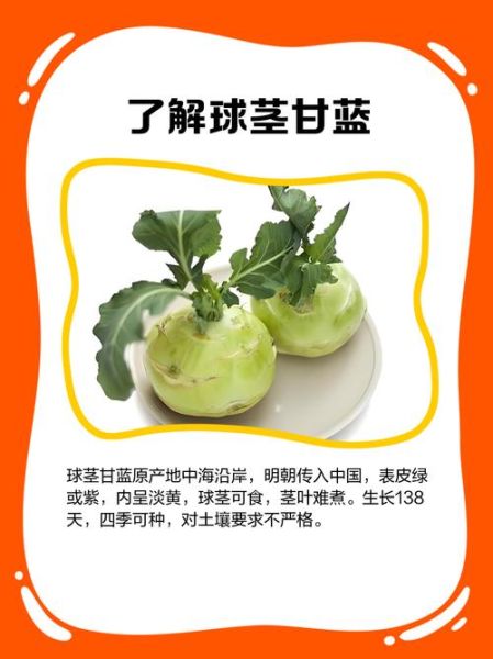 球茎甘蓝怎么做好吃_球茎甘蓝的家常做法-第1张图片-山城妙识