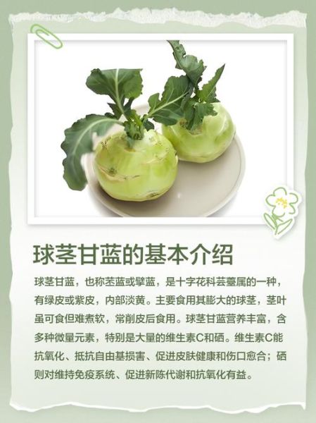 球茎甘蓝怎么做好吃_球茎甘蓝的家常做法-第2张图片-山城妙识