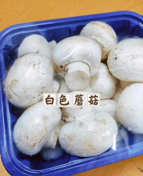 双孢菇用焯水吗_焯水后营养会流失吗-第1张图片-山城妙识