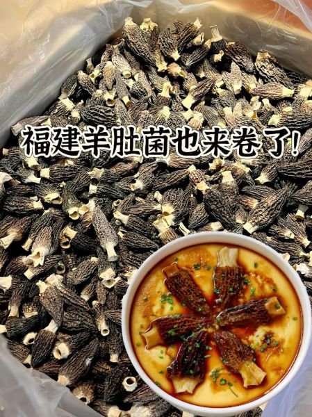 羊肚菌怎么挑选_羊肚菌多少钱一斤-第2张图片-山城妙识