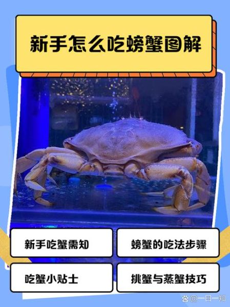 如何吃螃蟹图解_螃蟹怎么吃步骤-第1张图片-山城妙识 如何吃螃蟹图解_螃蟹怎么吃步骤-第1张图片-山城妙识