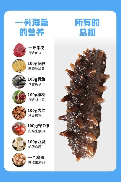 海参什么时候吃效果最好_海参一天吃几次最科学-第1张图片-山城妙识 海参什么时候吃效果最好_海参一天吃几次最科学-第1张图片-山城妙识