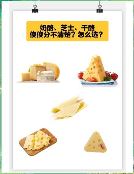 奶酪和芝士一样吗_区别在哪里-第1张图片-山城妙识 奶酪和芝士一样吗_区别在哪里-第1张图片-山城妙识