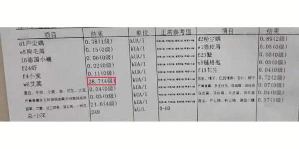 艾蒿过敏不能吃什么_艾蒿过敏饮食禁忌-第2张图片-山城妙识 艾蒿过敏不能吃什么_艾蒿过敏饮食禁忌-第2张图片-山城妙识