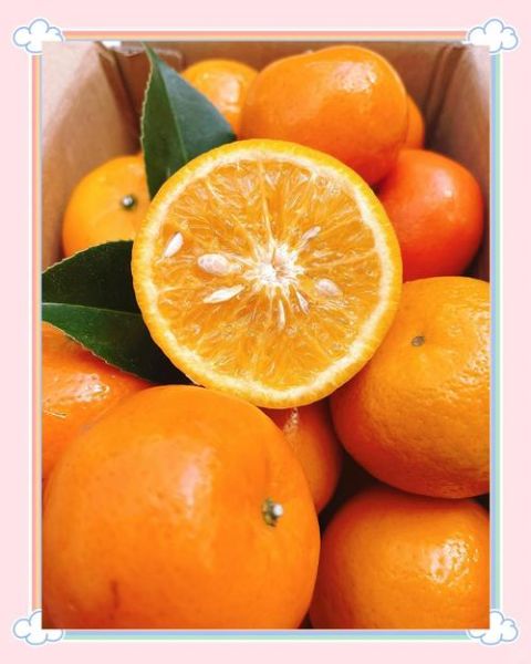 沃柑的功效与作用禁忌_孕妇能吃吗-第3张图片-山城妙识