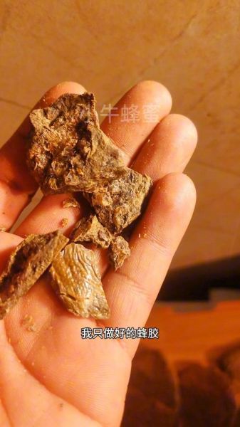 蜂胶长什么样子_蜂胶真假辨别方法-第3张图片-山城妙识 蜂胶长什么样子_蜂胶真假辨别方法-第3张图片-山城妙识