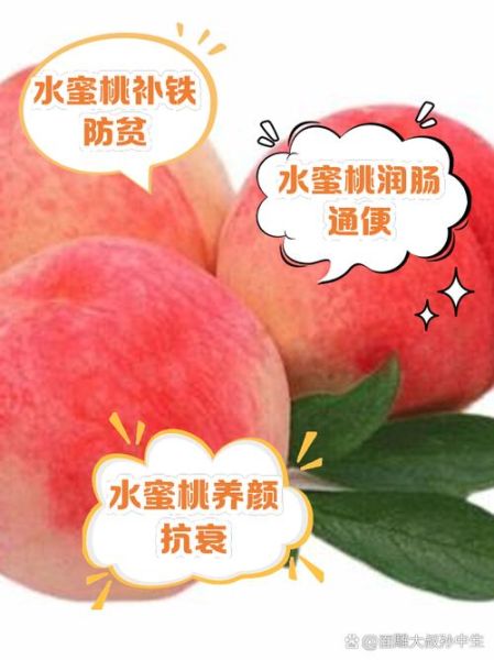 水蜜桃的功效与作用_水蜜桃的营养价值有哪些-第1张图片-山城妙识 水蜜桃的功效与作用_水蜜桃的营养价值有哪些-第1张图片-山城妙识