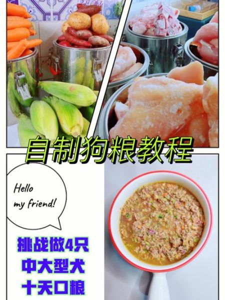 狗粮怎么制作_自制狗粮配方-第3张图片-山城妙识 狗粮怎么制作_自制狗粮配方-第3张图片-山城妙识