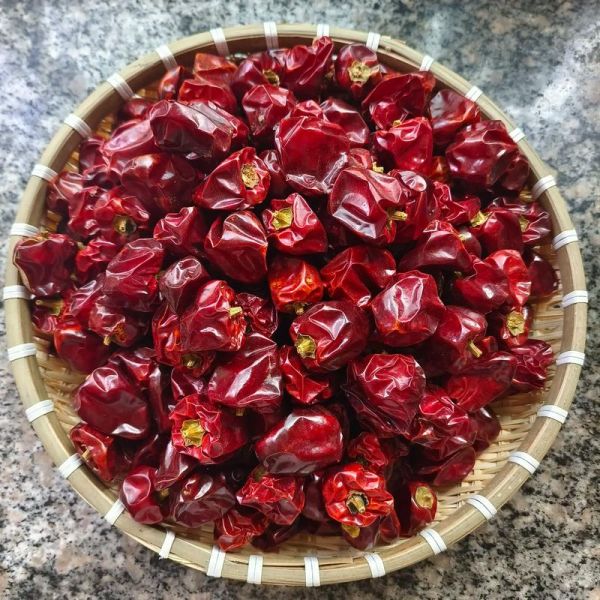 灯笼椒的功效与作用_吃灯笼椒会上火吗-第1张图片-山城妙识