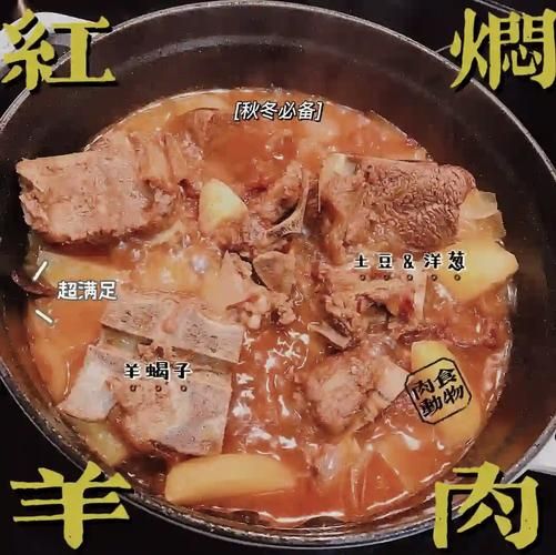 红焖羊肉最正宗的做法_家庭版详细步骤-第1张图片-山城妙识 红焖羊肉最正宗的做法_家庭版详细步骤-第1张图片-山城妙识