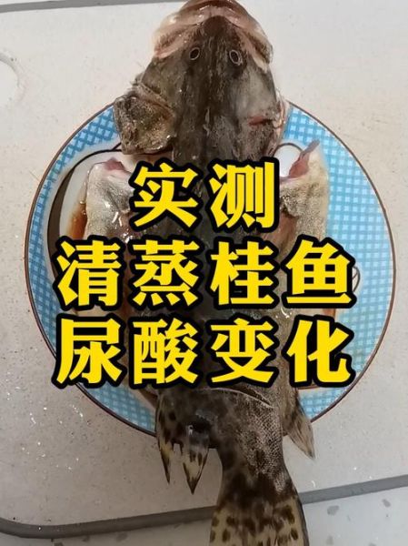 桂鱼嘌呤高吗_痛风能吃桂鱼吗-第1张图片-山城妙识 桂鱼嘌呤高吗_痛风能吃桂鱼吗-第1张图片-山城妙识