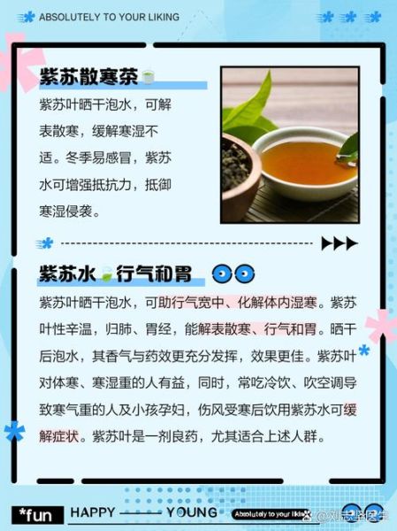 紫苏泡茶喝有什么功效_紫苏叶泡水适合什么人喝-第2张图片-山城妙识 紫苏泡茶喝有什么功效_紫苏叶泡水适合什么人喝-第2张图片-山城妙识