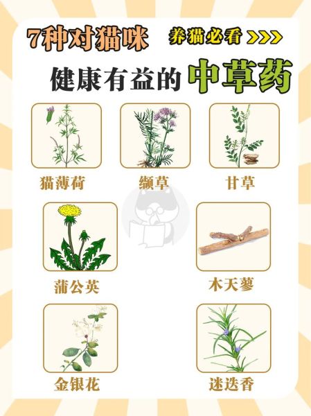 常见药用植物有哪些_如何正确使用-第1张图片-山城妙识