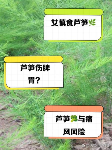 芦笋不能和什么一起吃_相克食物有哪些-第3张图片-山城妙识