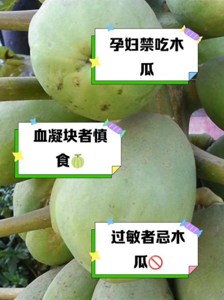 木瓜什么人不能吃_木瓜过敏症状有哪些-第2张图片-山城妙识