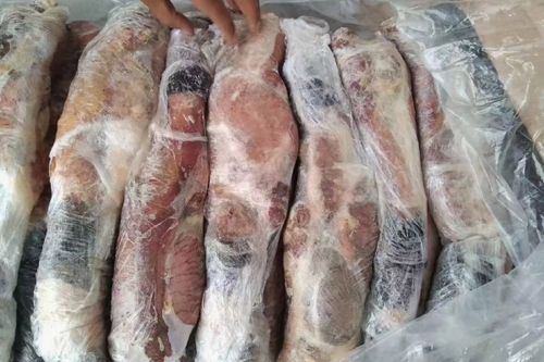 驴鞭和马鞭哪个长_驴鞭与马鞭长度对比-第1张图片-山城妙识 驴鞭和马鞭哪个长_驴鞭与马鞭长度对比-第1张图片-山城妙识