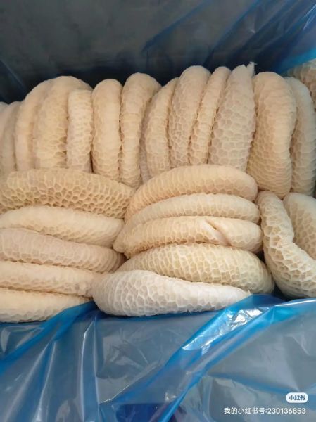 牛肚仁是哪个部位_牛肚仁和金钱肚区别-第3张图片-山城妙识 牛肚仁是哪个部位_牛肚仁和金钱肚区别-第3张图片-山城妙识