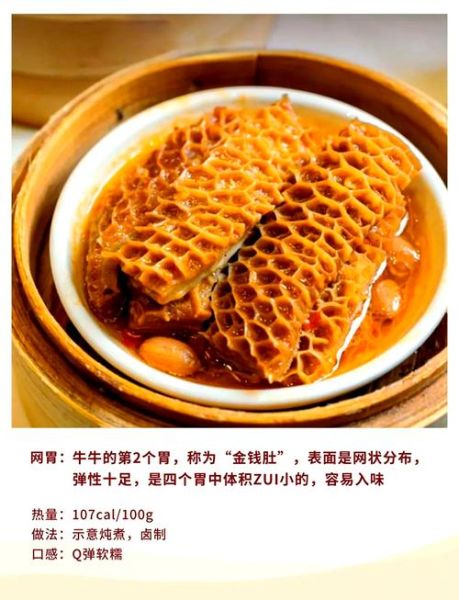 牛肚仁是哪个部位_牛肚仁和金钱肚区别-第2张图片-山城妙识 牛肚仁是哪个部位_牛肚仁和金钱肚区别-第2张图片-山城妙识