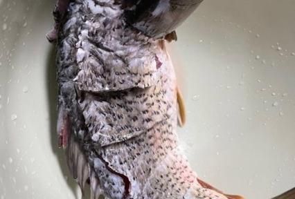 番茄酱脆皮鱼怎么做_番茄酱脆皮鱼家常做法-第1张图片-山城妙识 番茄酱脆皮鱼怎么做_番茄酱脆皮鱼家常做法-第1张图片-山城妙识