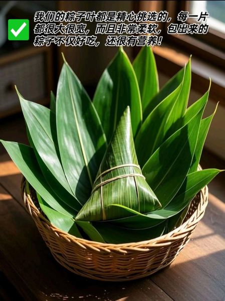 南方粽子叶是什么叶子_粽叶种类区别-第3张图片-山城妙识