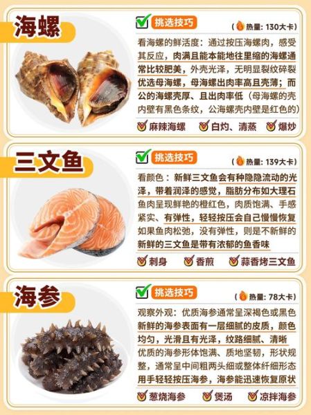 海鲜大全名称有哪些_海鲜大全图片怎么认-第3张图片-山城妙识