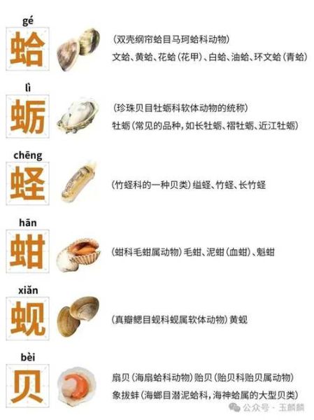 海鲜大全名称有哪些_海鲜大全图片怎么认-第2张图片-山城妙识
