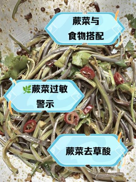 蕨菜哪些部位不能吃_蕨菜中毒症状有哪些-第3张图片-山城妙识