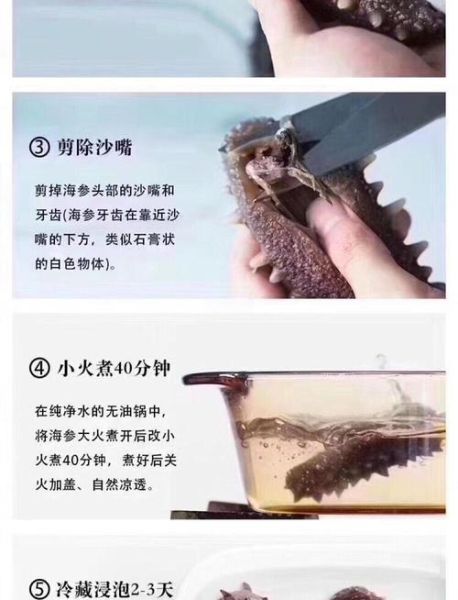 如何发海参又快又大_海参怎么泡发最快最大-第3张图片-山城妙识
