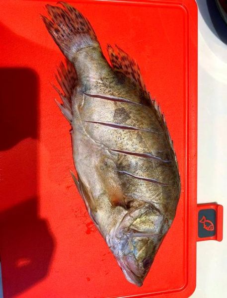 臭桂鱼吃多了有什么危害_臭桂鱼吃多了会上火吗-第2张图片-山城妙识