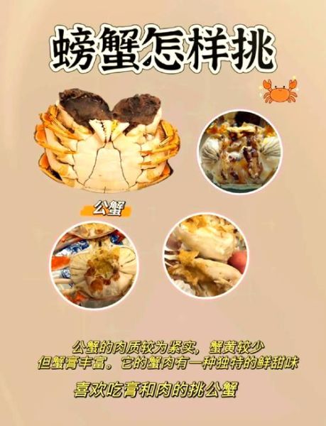 公蟹母蟹的区别图片_如何一眼分辨-第3张图片-山城妙识 公蟹母蟹的区别图片_如何一眼分辨-第3张图片-山城妙识