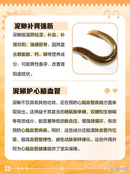 泥鳅鲫鱼汤的功效与禁忌_孕妇能喝吗-第1张图片-山城妙识 泥鳅鲫鱼汤的功效与禁忌_孕妇能喝吗-第1张图片-山城妙识