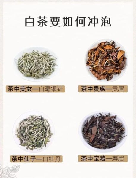 白茶怎么泡好喝_白茶冲泡水温多少度-第1张图片-山城妙识
