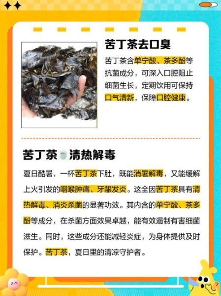 苦丁茶的功效与作用_苦丁茶哪些人不能喝-第3张图片-山城妙识 苦丁茶的功效与作用_苦丁茶哪些人不能喝-第3张图片-山城妙识