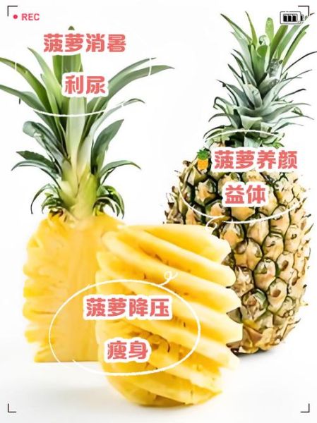 菠萝的营养价值及功效与禁忌_吃菠萝会上火吗-第2张图片-山城妙识