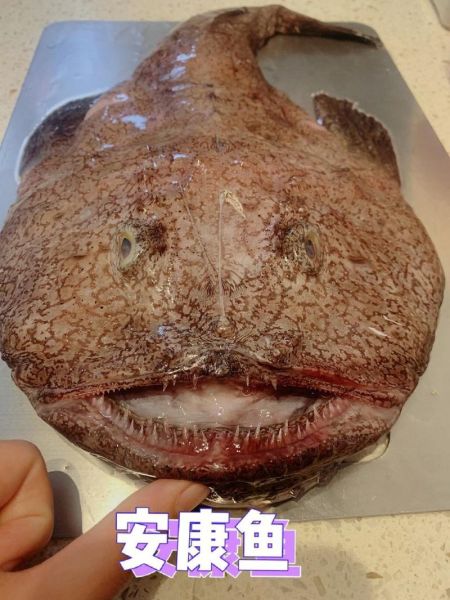 世界上最恐怖的鱼是什么_深海恶魔鱼真相-第2张图片-山城妙识 世界上最恐怖的鱼是什么_深海恶魔鱼真相-第2张图片-山城妙识